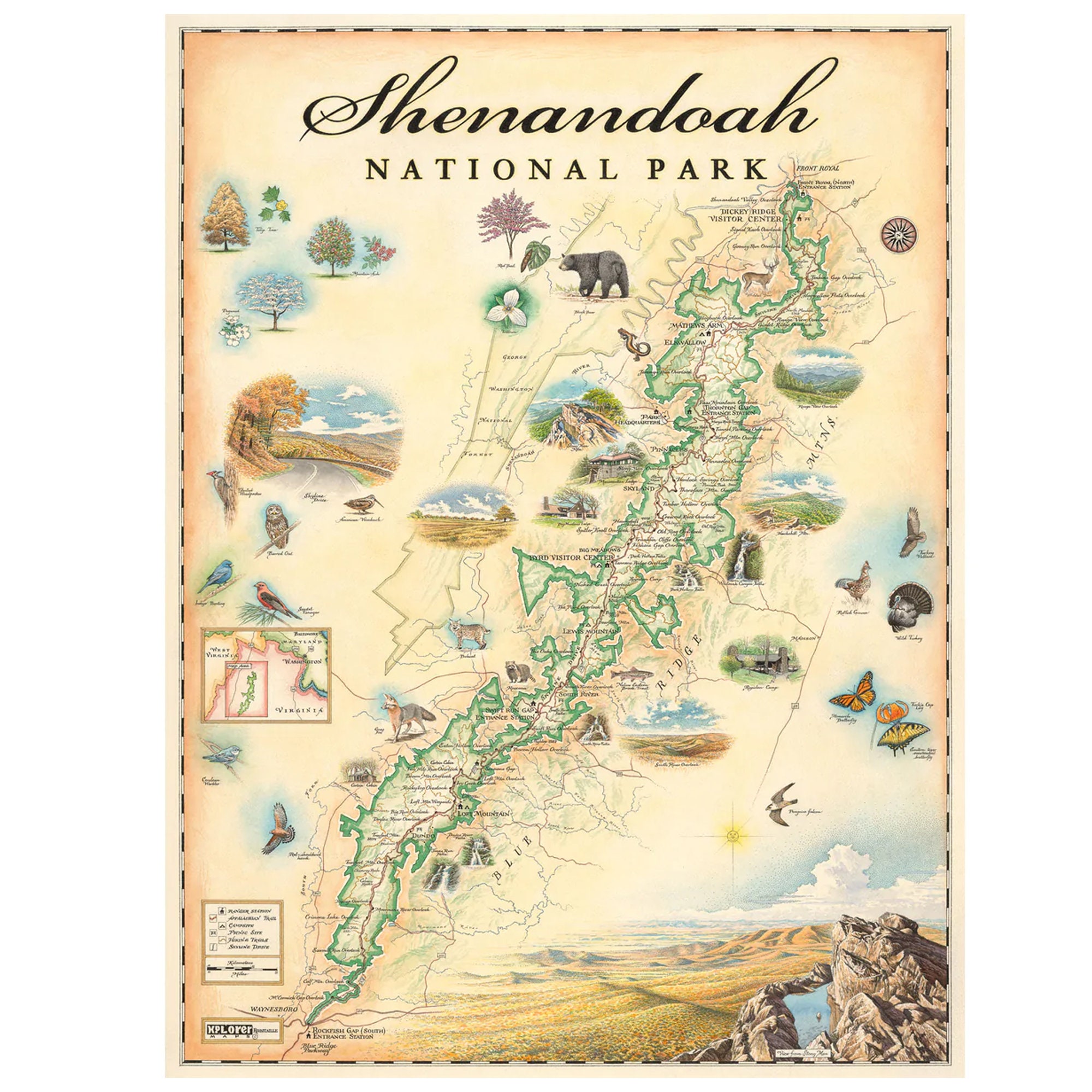 Shenandoah National Park Hand-drawn Map Poster Authentic - Etsy