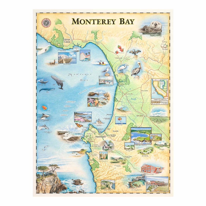 Monterey Bay Map Art Print | Hand-drawn Coastal Decor (18x24) - Etsy