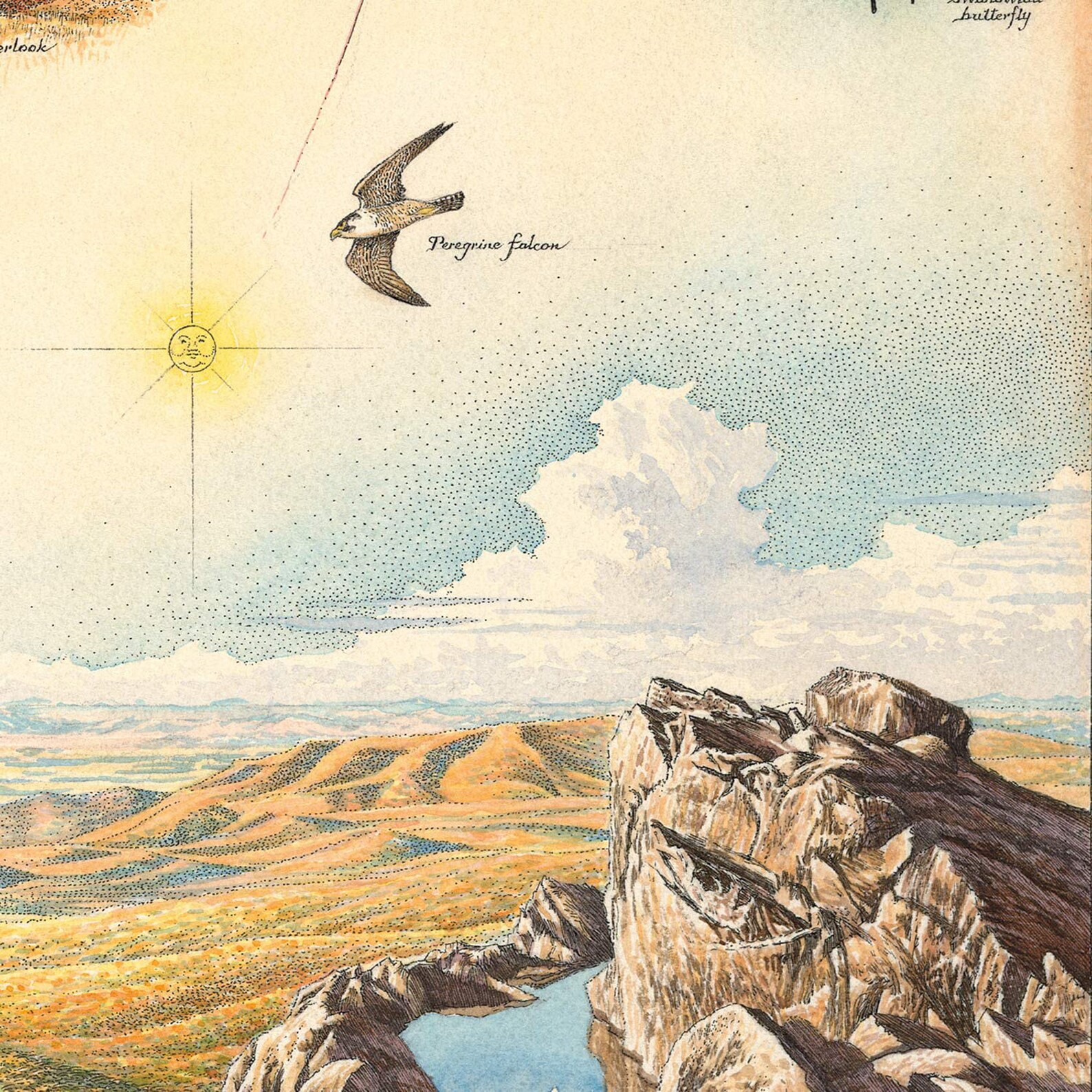 Shenandoah National Park Hand-drawn Map Poster Authentic - Etsy