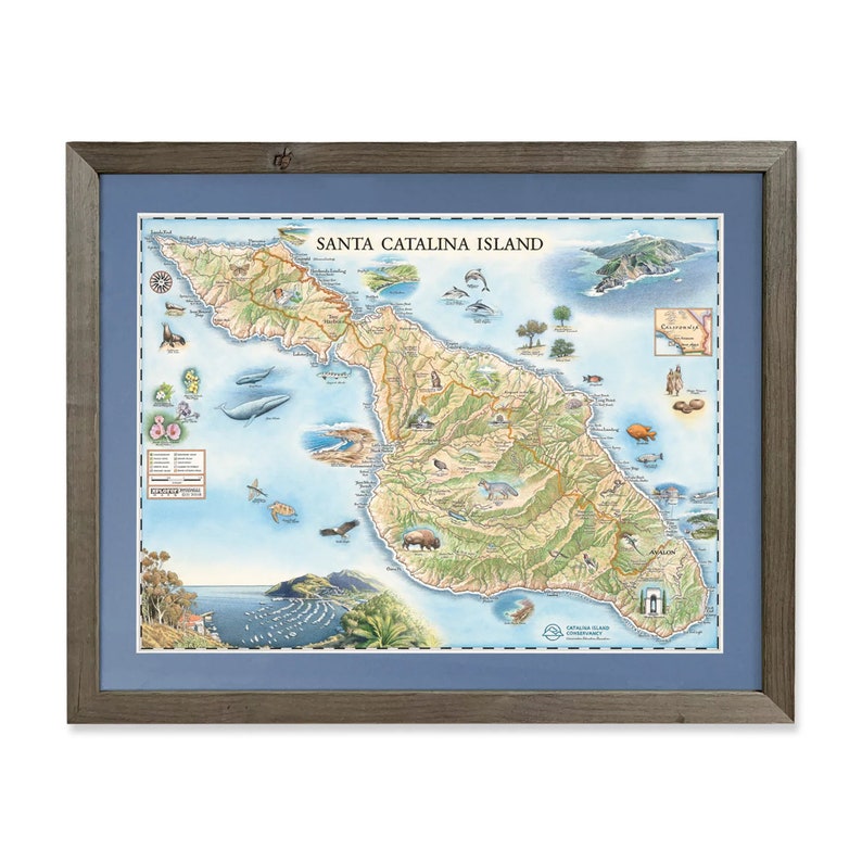 Santa Catalina Island Hand-drawn Map Posterauthentic - Etsy