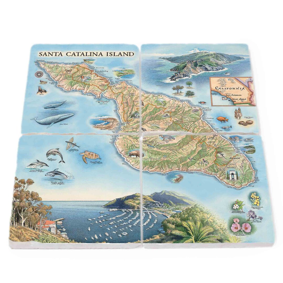 Santa Catalina Island Map Natural Stone Coasters - Set of 4, Made in ...
