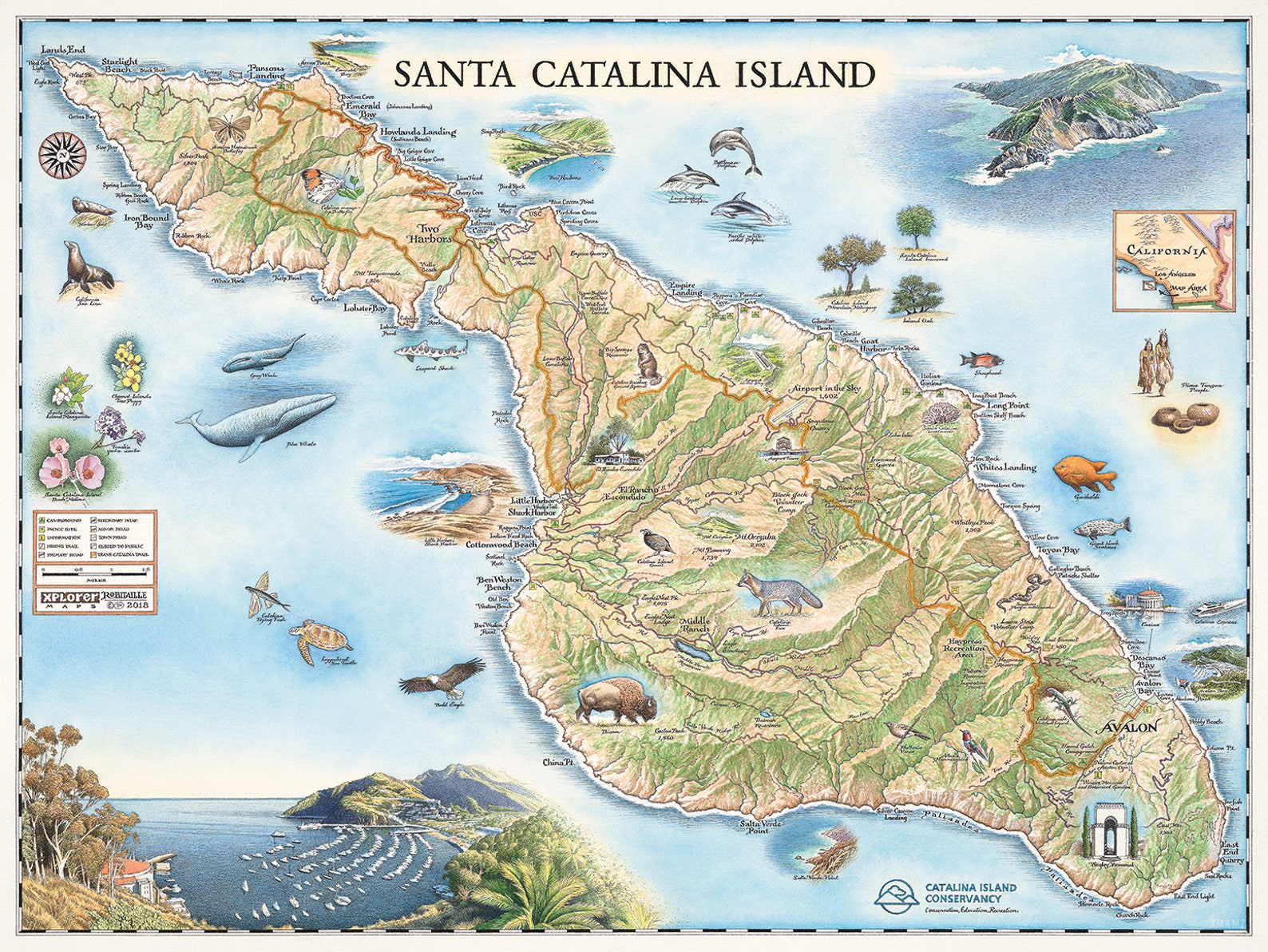 Santa Catalina Island Hand-drawn Map Posterauthentic - Etsy