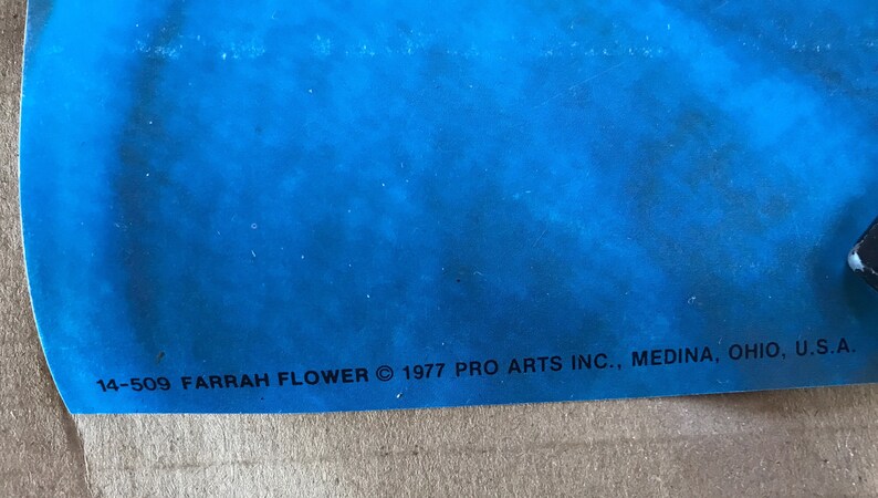 Vintage Original 1977 Farrah Fawcett Flowers Pinup 1970s Actress ...