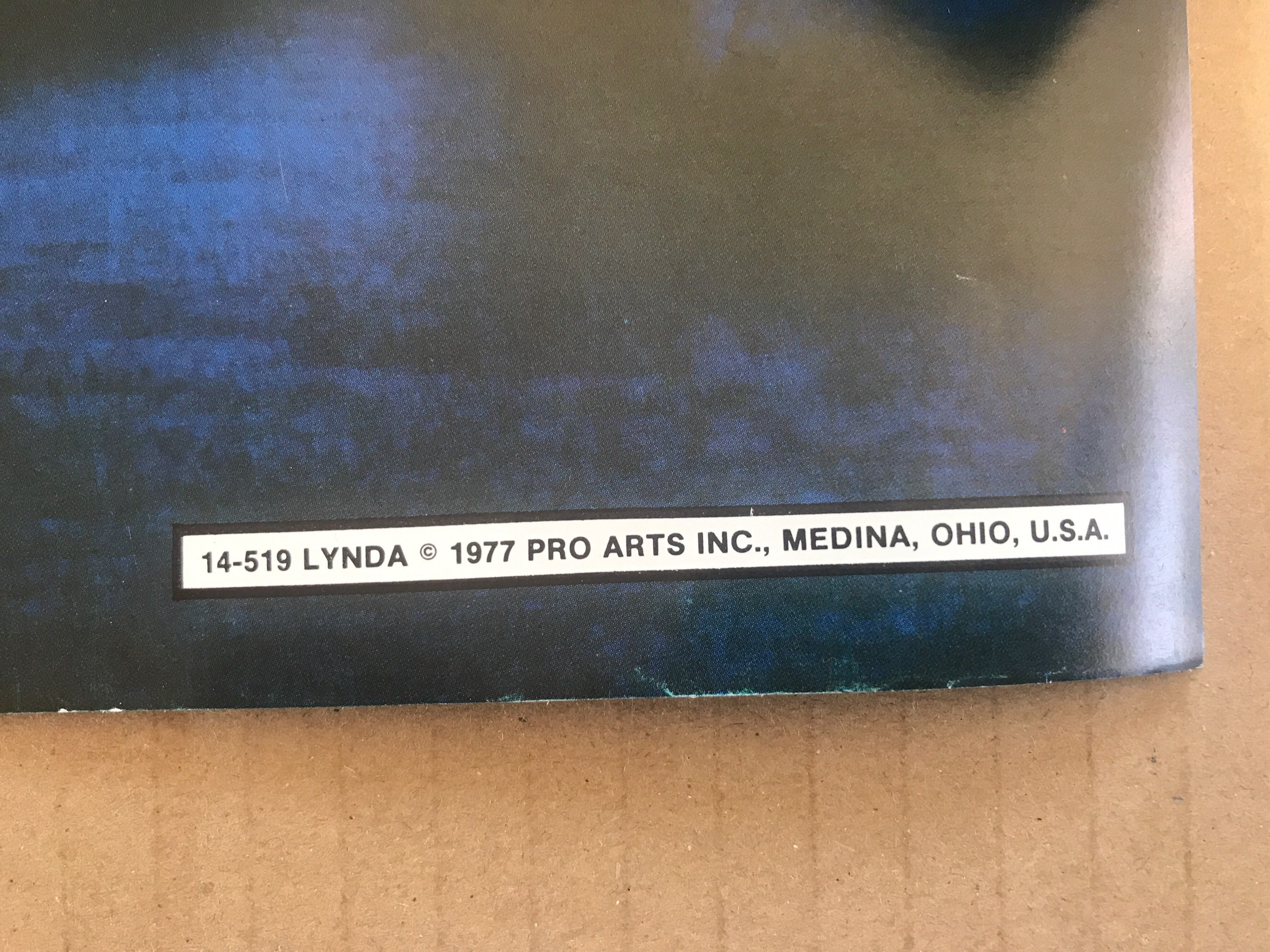 Lynda Carter Pro Arts Poster