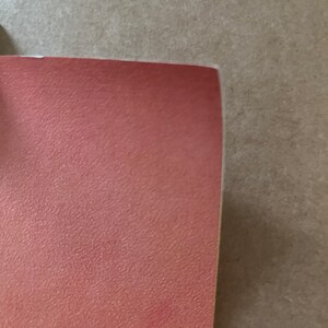 Paha Ska Native American Indian Woman and Horse 1970s - Etsy