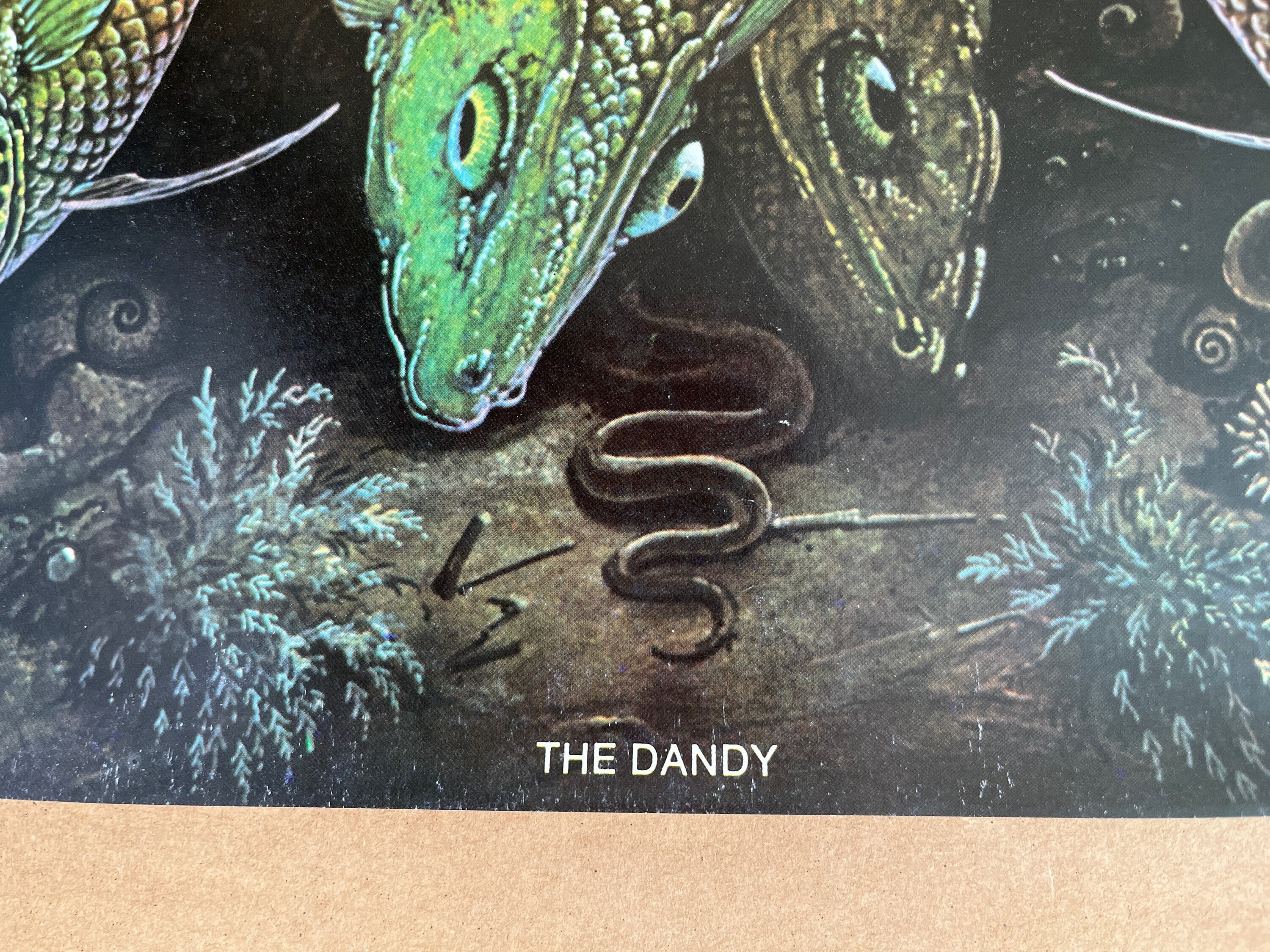 Vintage Original 1970s the Dandy Poster Fantasy Dragon Fish - Etsy