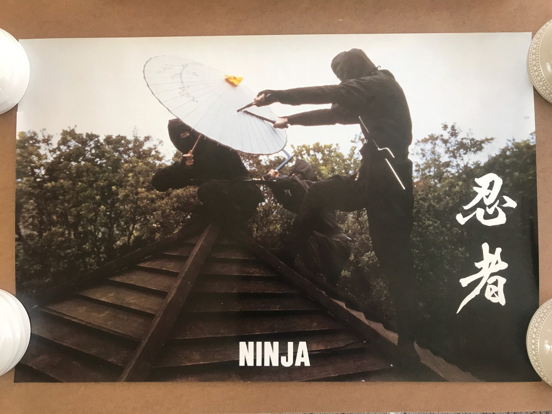 Vintage Original 1980s Ninja Pinup Poster Martial Arts Roof Top Ninjas ...