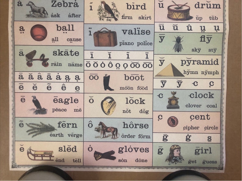 Curiosities Illustrated Poster Collage Items Spelling Learning Children ...