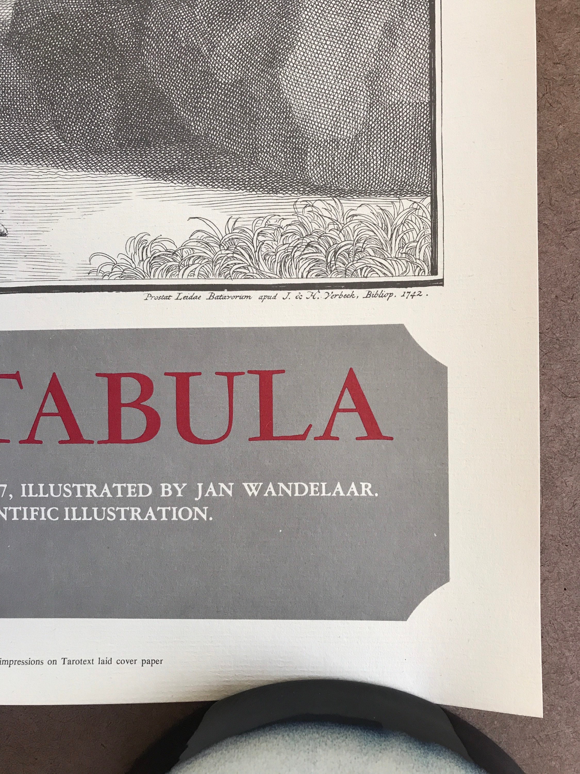 Vintage Original 1980s Anatomy Muscular Tabula Litho | Etsy