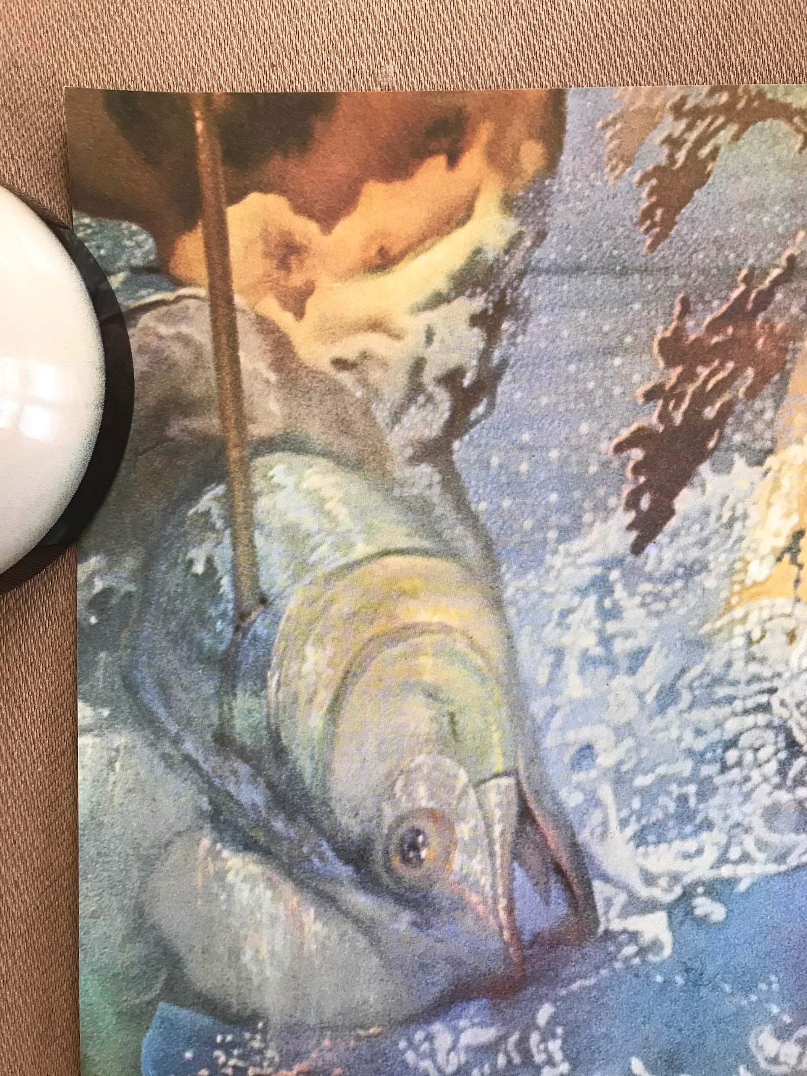 Vintage Original 1970s Salvador Dali the Painter Poster Fish - Etsy