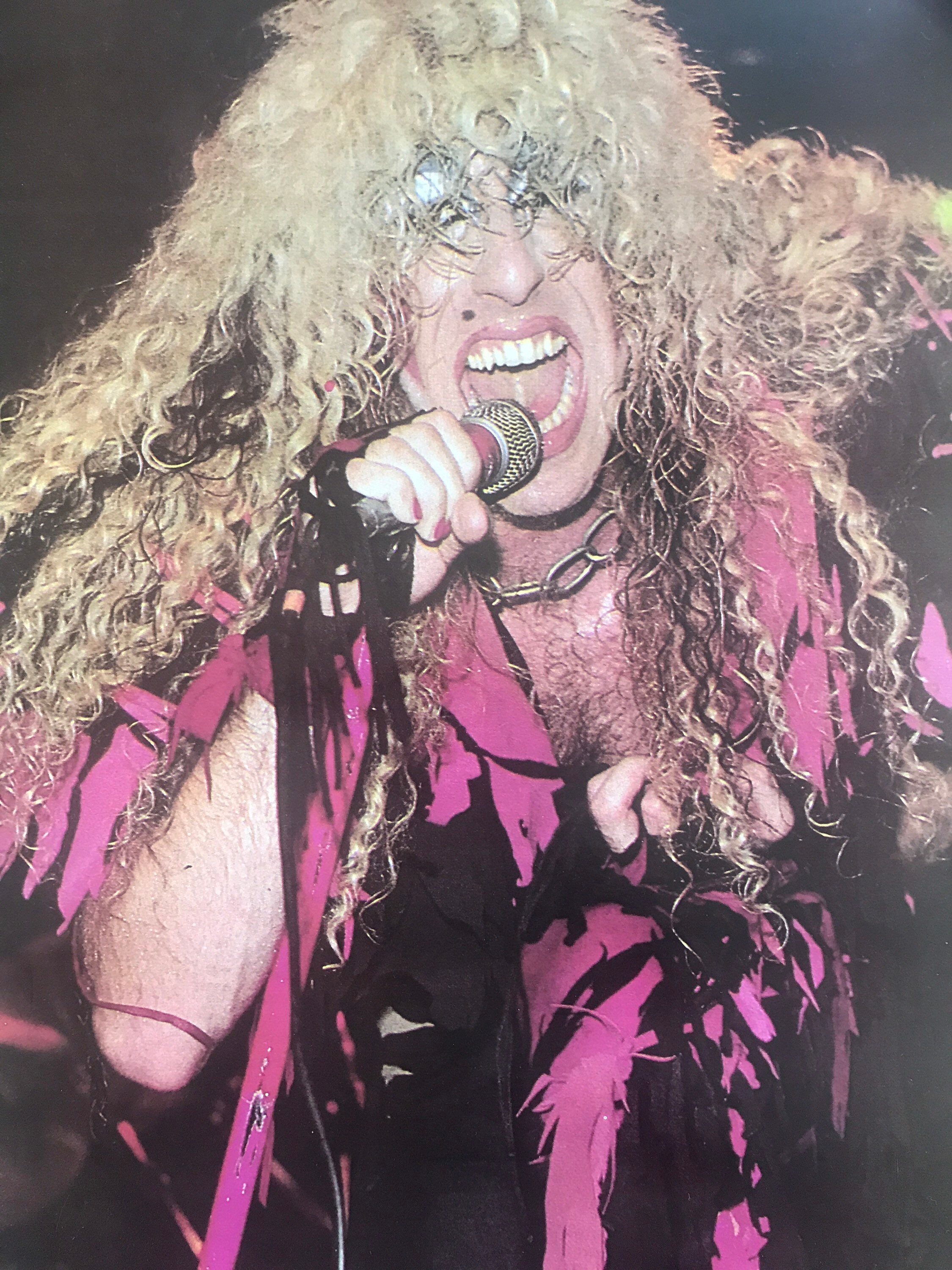 Vintage Original 1980s Dee Snider Twisted Twister Concert Pinup Rock ...