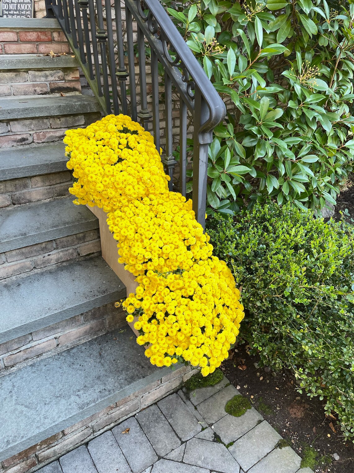Step Planter Brownstone Home Front Door Stairs Wood Flower Pot - Etsy