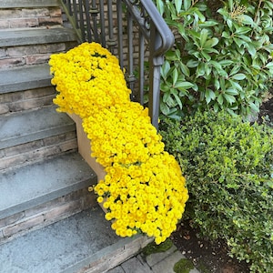 Step Planter Brownstone Home Front Door Stairs Wood Flower Pot Brand ...