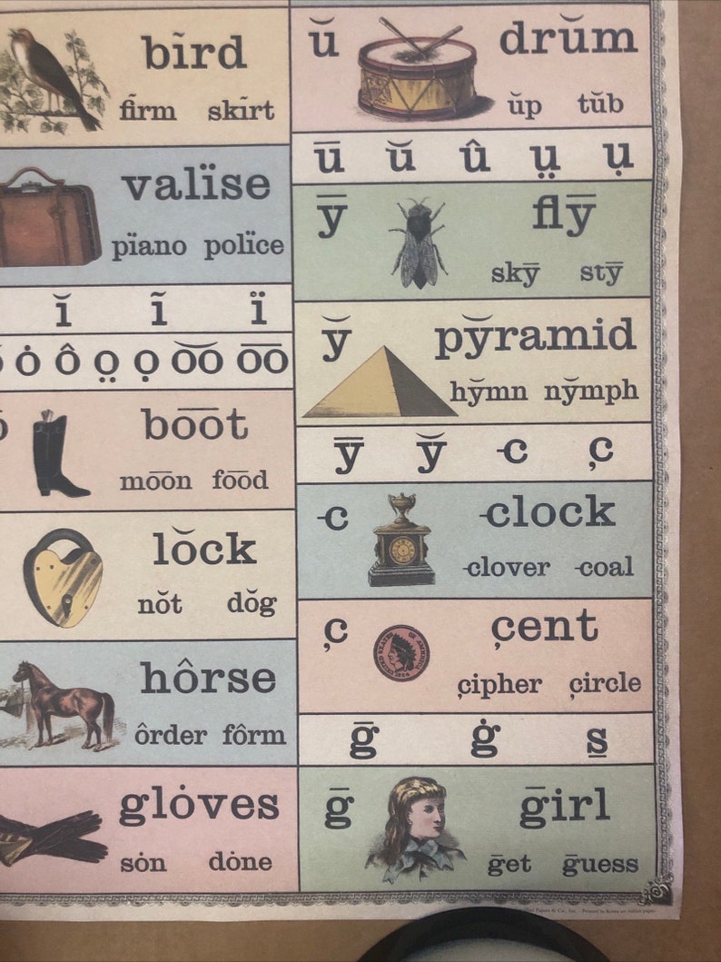 Curiosities Illustrated Poster Collage Items Spelling Learning Children ...