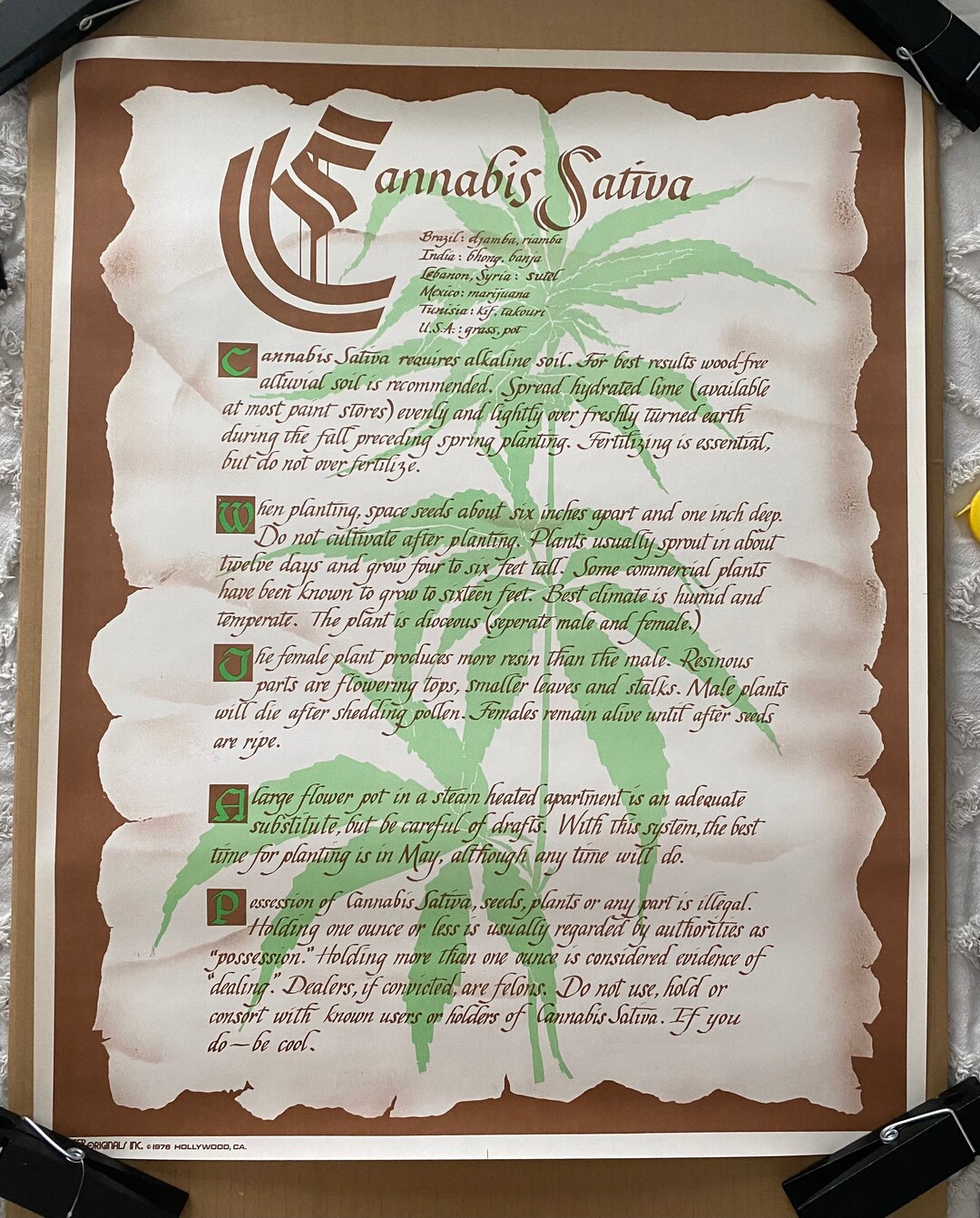 Vintage Marijuana Poster Weed Cannabis Sativa Pot Leaf Weed Blacklight ...