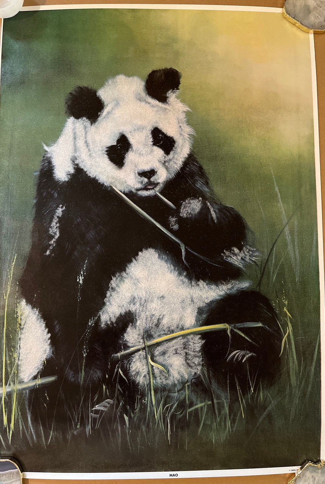 Mao Panda Bear Blacklight Poster Vintage 1970s - Etsy