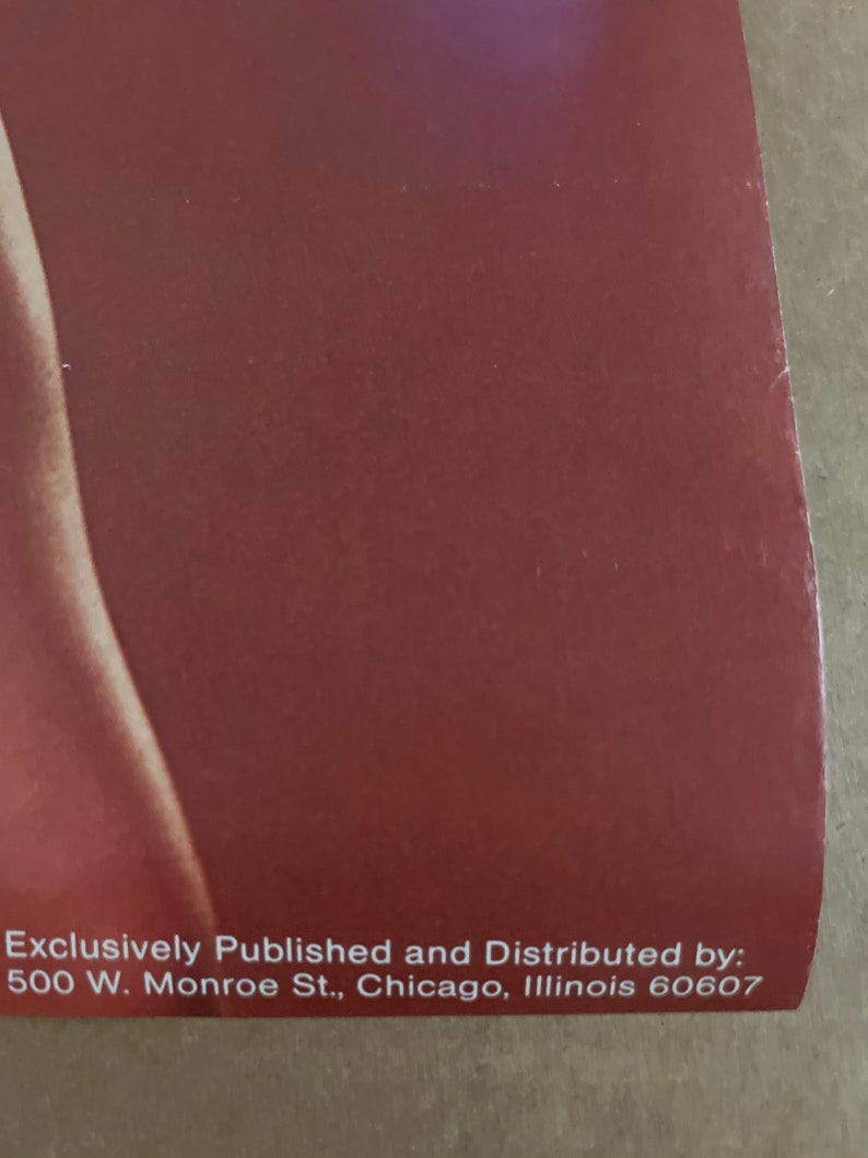 Liza Greer 1982 Vintage Poster Model Woman - Etsy