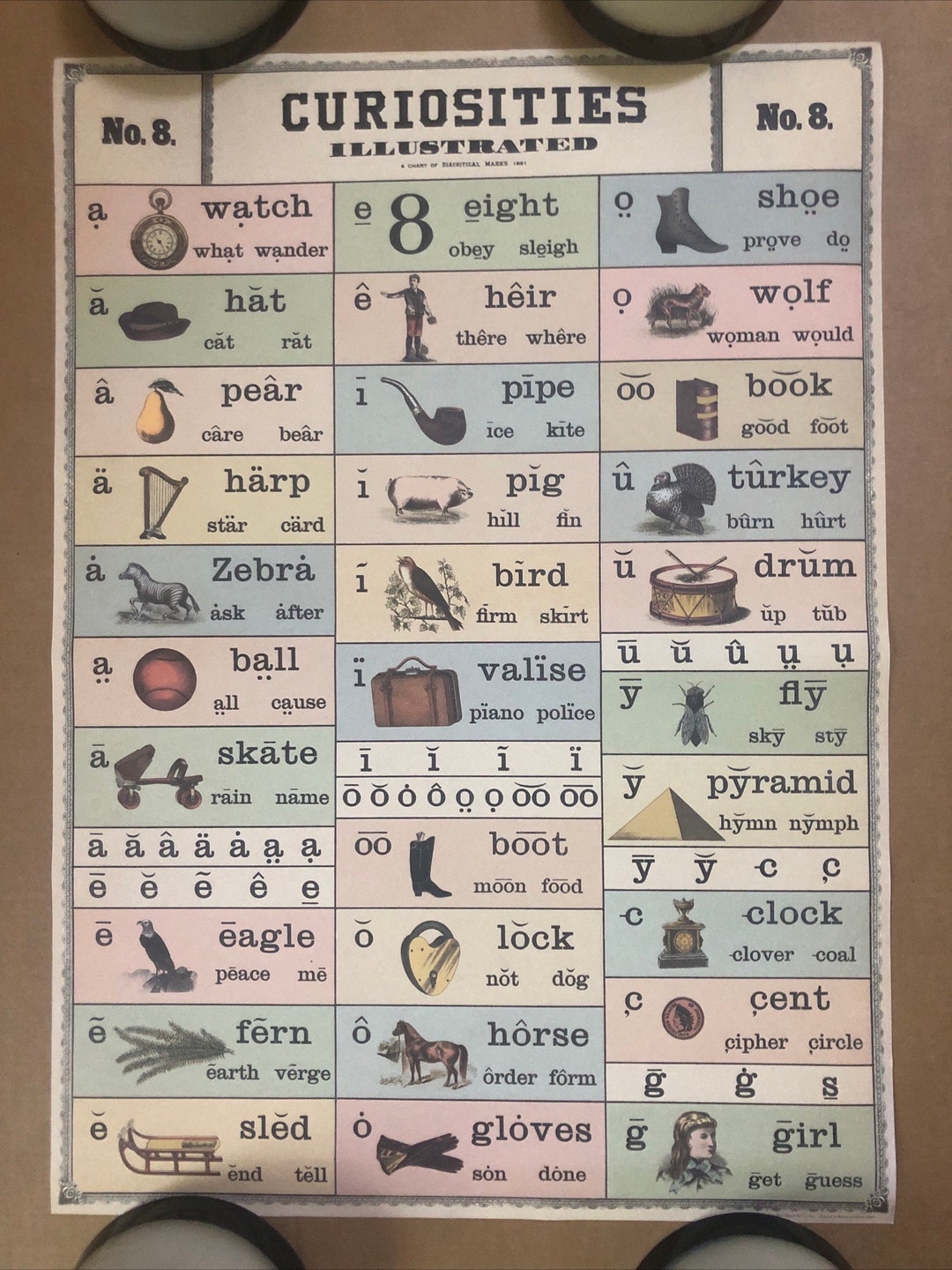 Curiosities Illustrated Poster Collage Items Spelling Learning Children ...