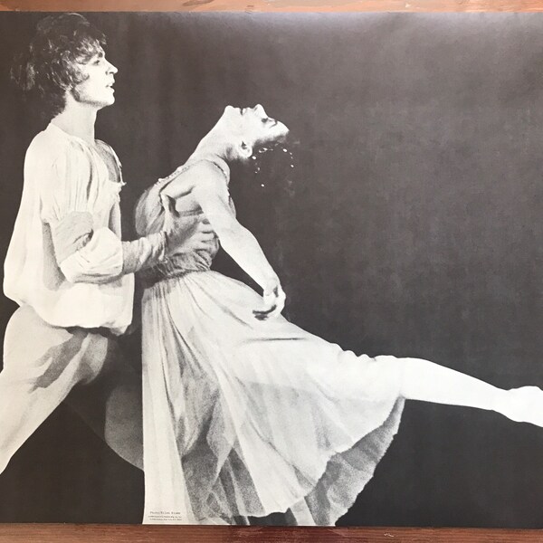 Swan Lake Ballet - Etsy