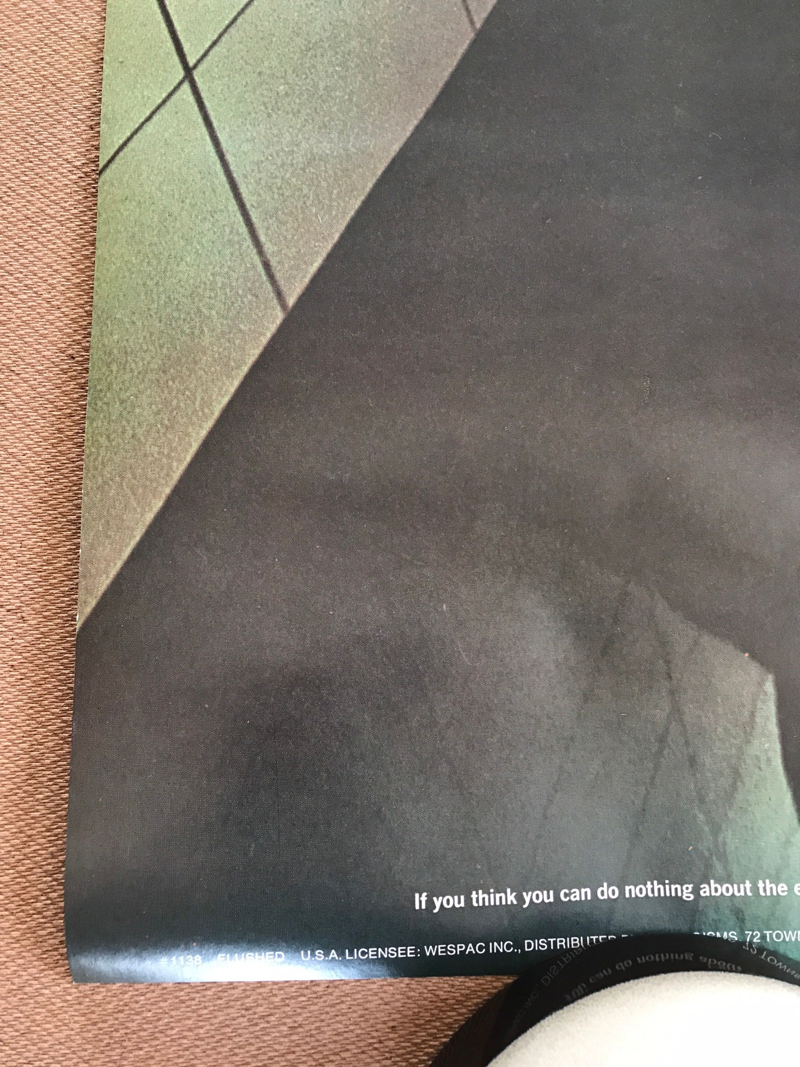 Vintage Original 1970s Environmental Problems Flushed Poster | Etsy