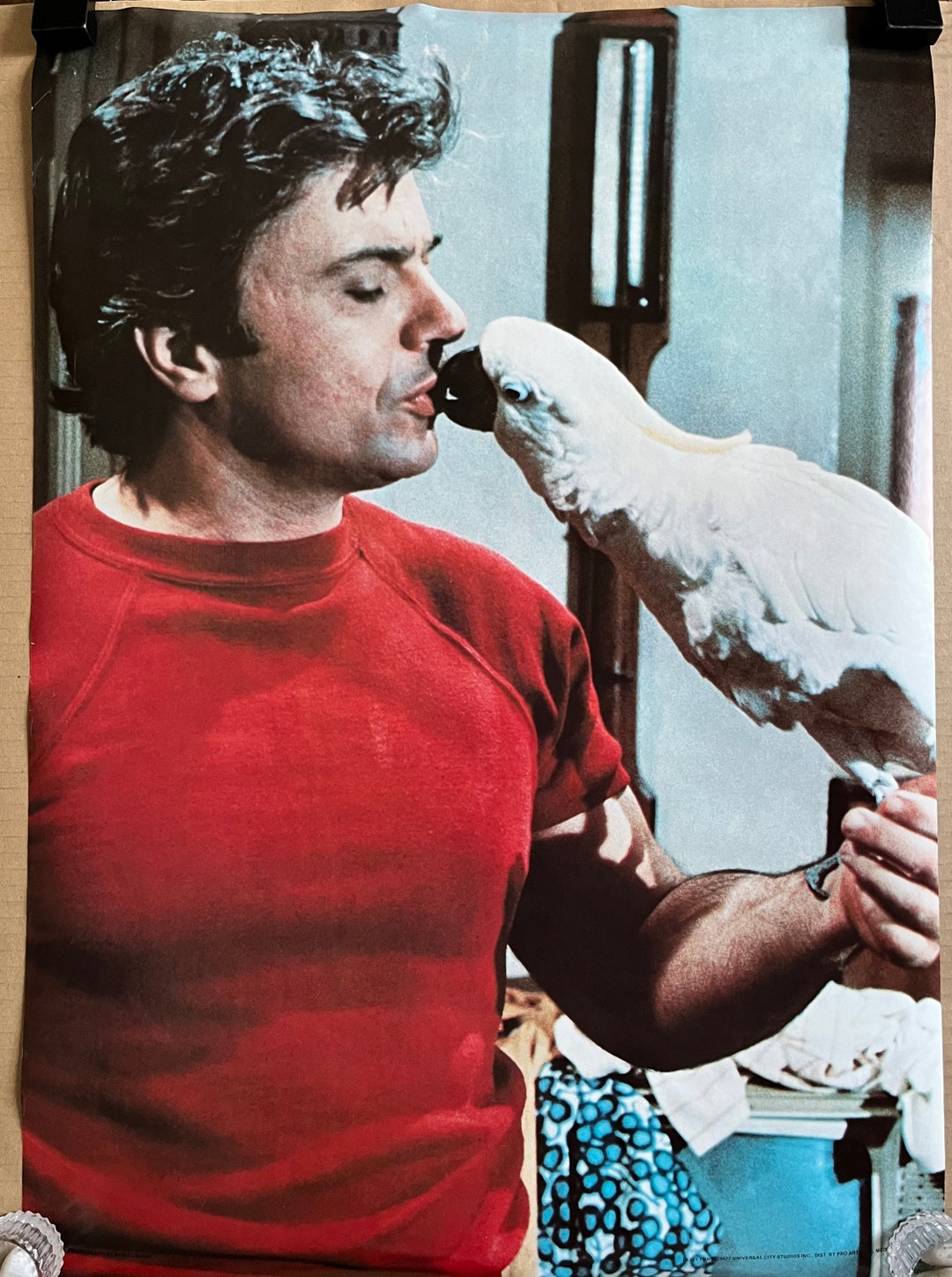 Vintage Original Poster Tony Bird Beretta 1970s TV Pro Arts TV Poster ...