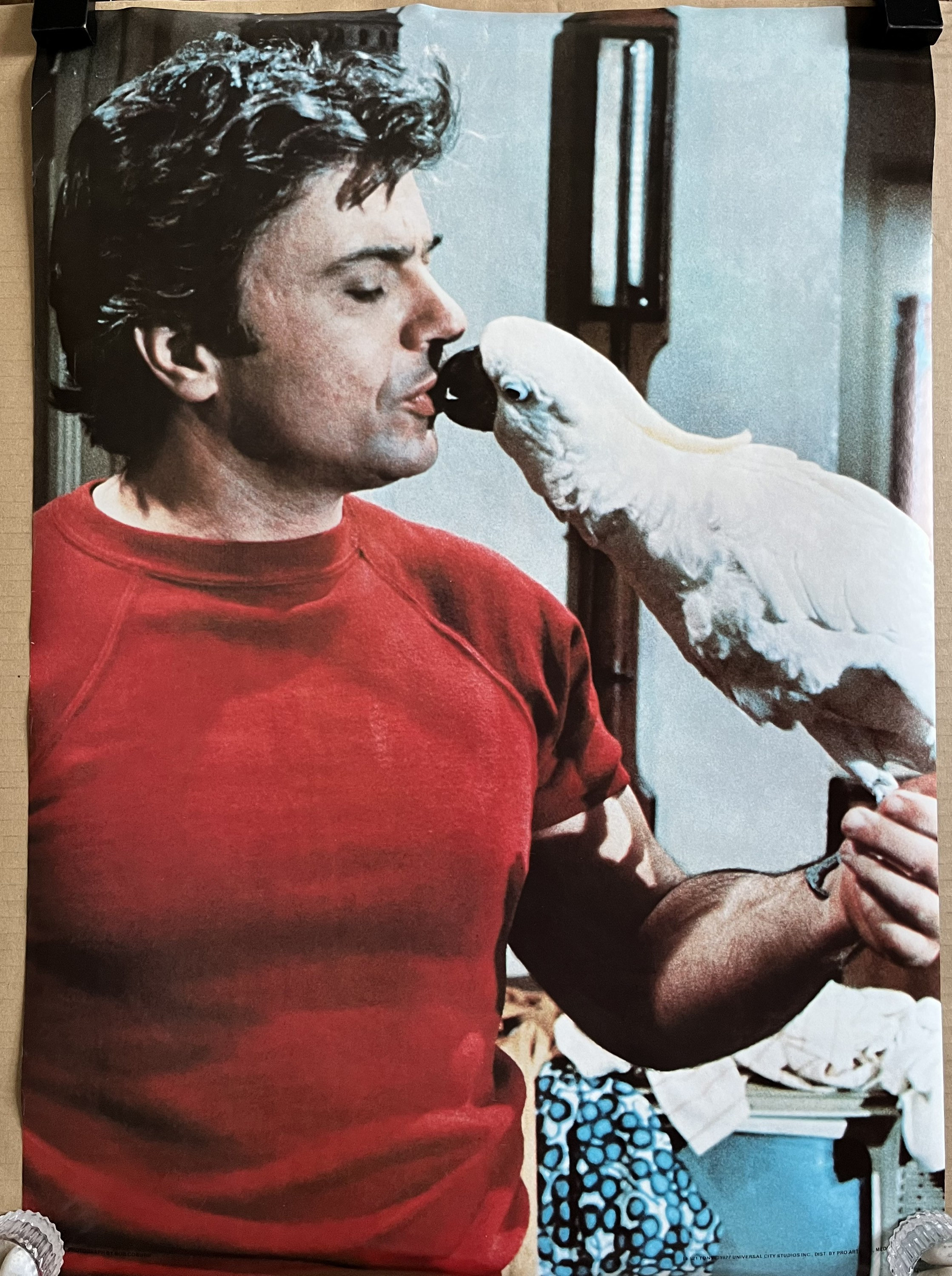 Baretta Tv Show Bird