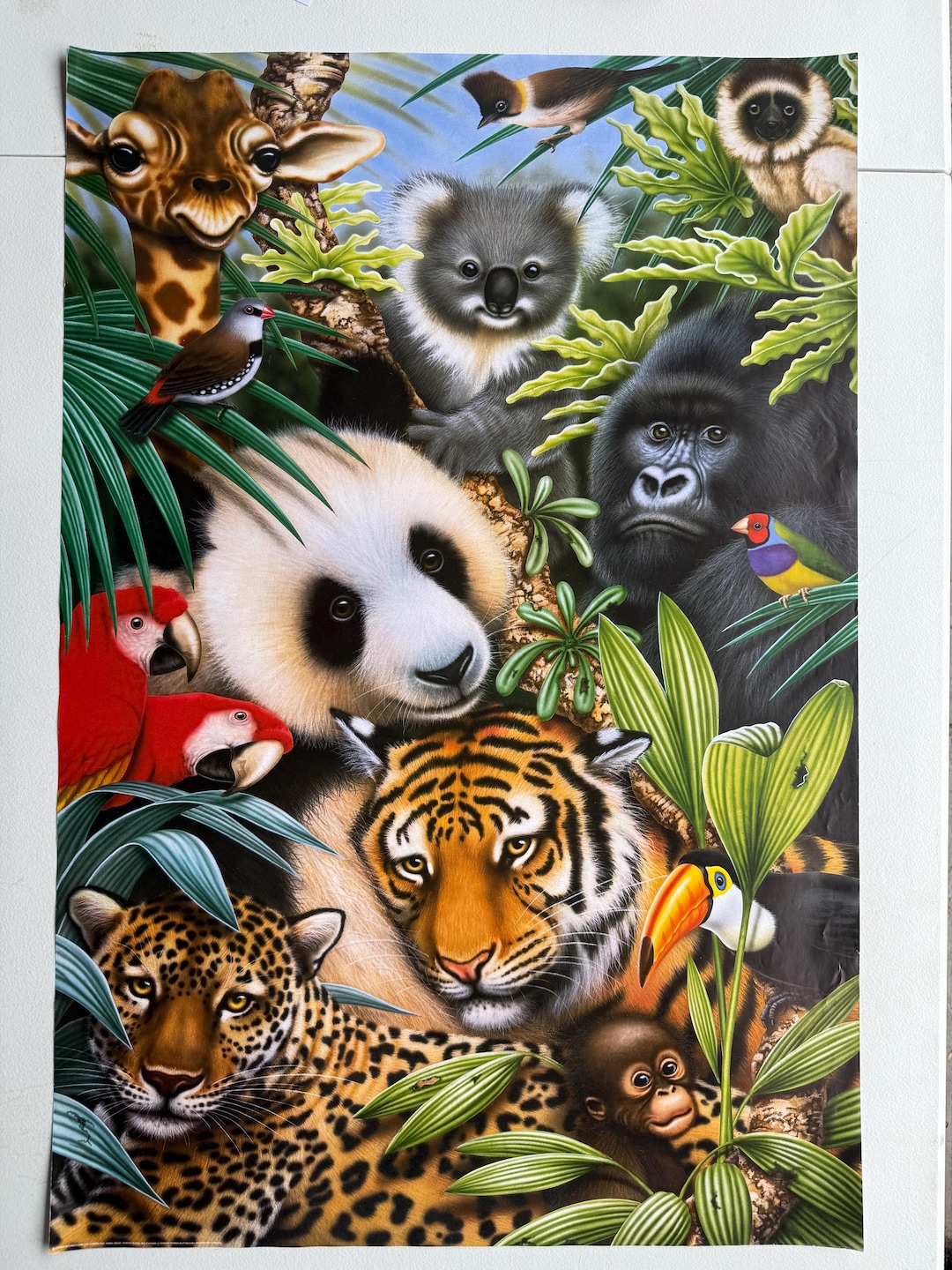 Animal Magic Original Vintage Poster Jungle Animals Collage Zoo Animal ...