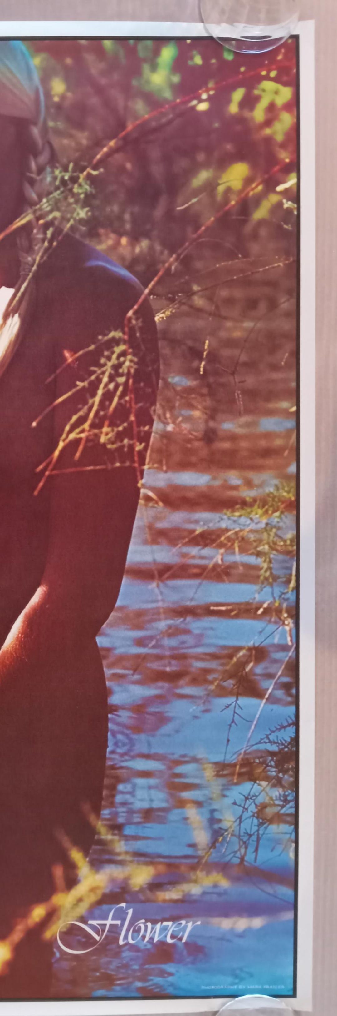 Vintage Original 1970s Flower Poster Bohemian Nature Hippie Native ...