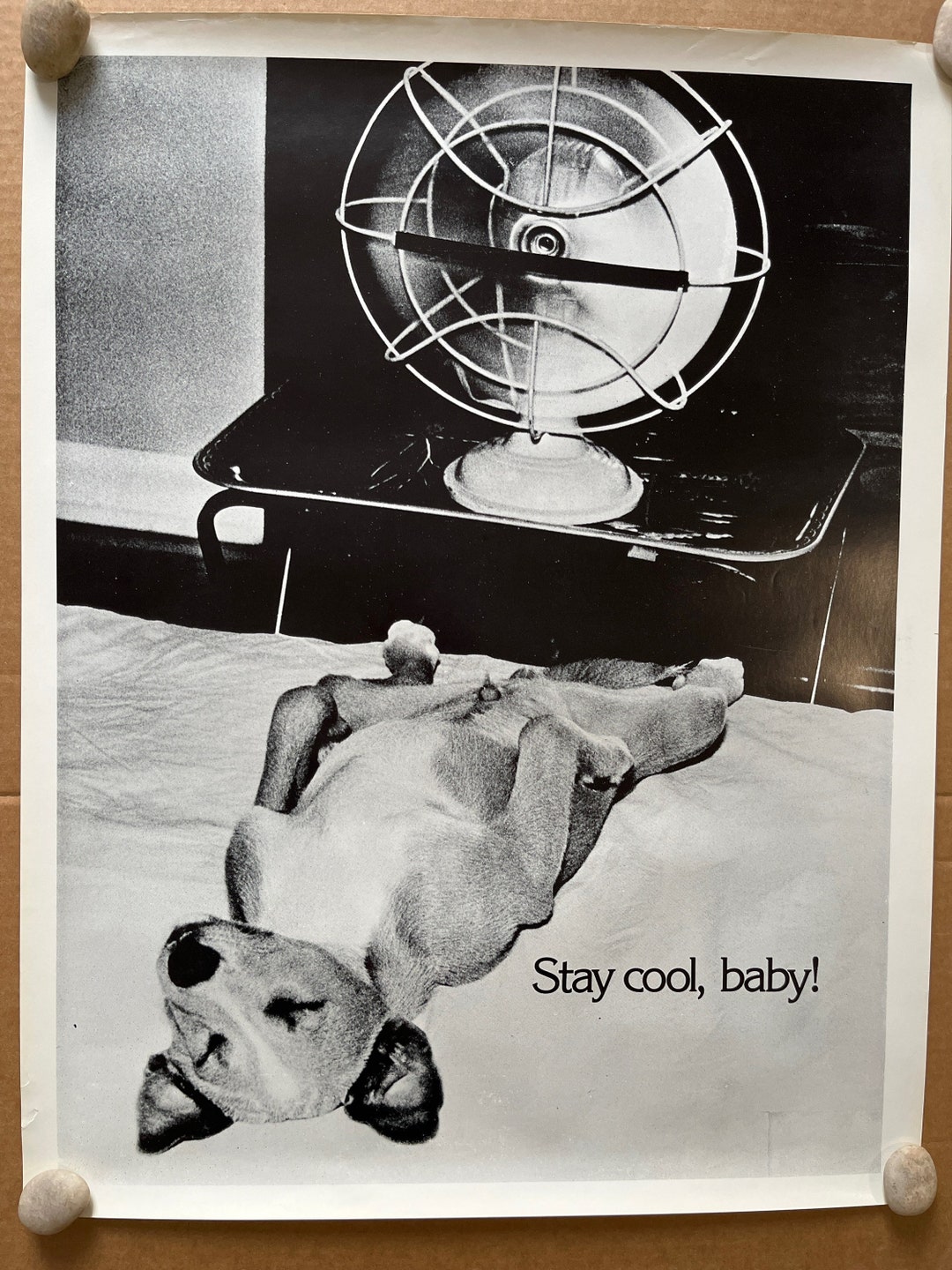 Stay Cool Fan Dog Headshop Comedy 1970s - Etsy