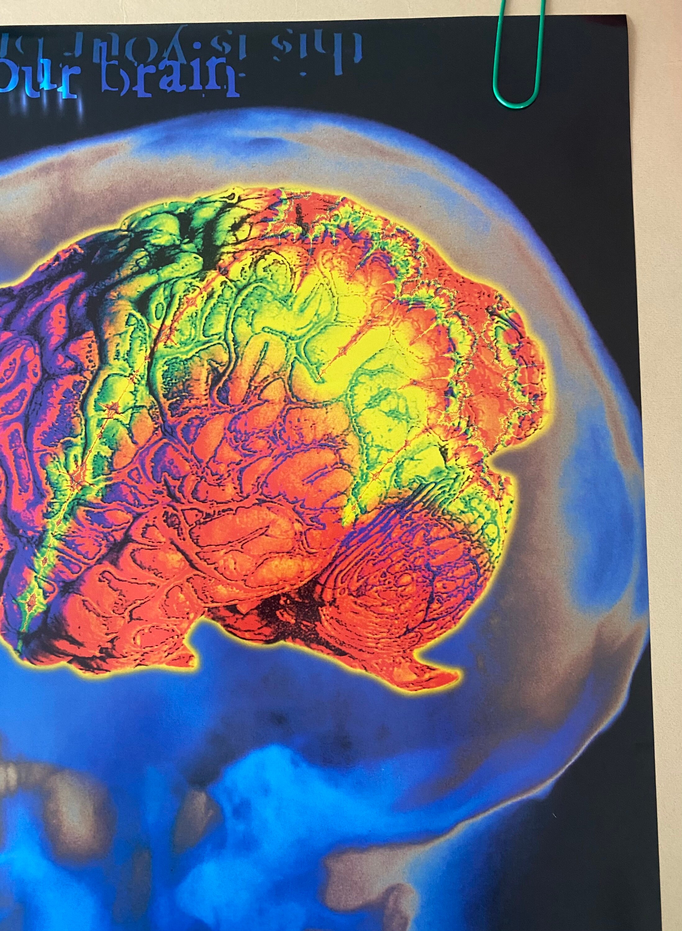 Vintage Pothead Poster Marijuana Smoke Shop Headshop Weed - Etsy UK