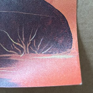 Paha Ska Native American Indian Woman and Horse 1970s - Etsy