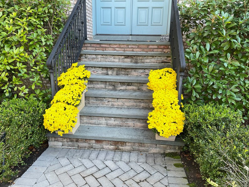 Step Planter Brownstone Home Front Door Stairs Wood Flower Pot - Etsy