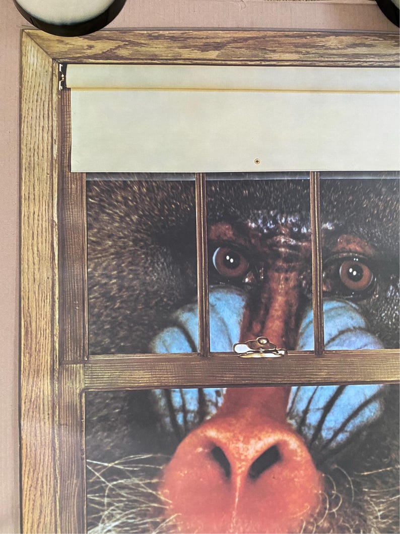 Baboon Poster Vintage Headshop Original Monkey in the Window 1970s Joke ...