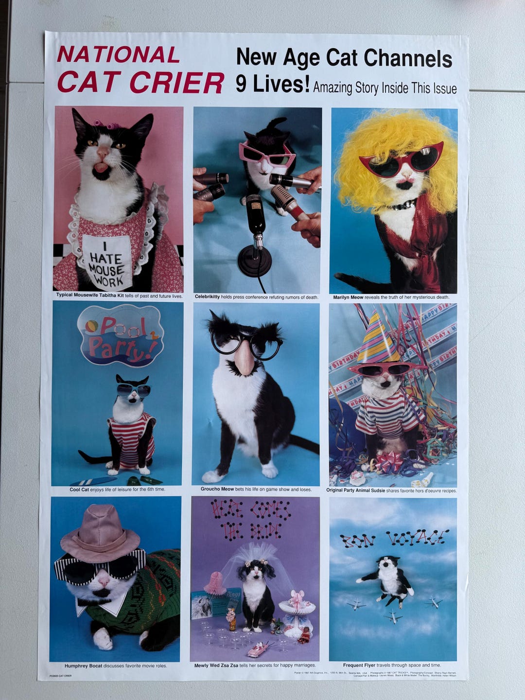 Cat Crier Vintage Poster New Age Cat Channels Collage 9 Lives Party ...