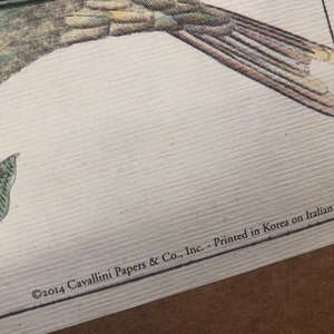 Natural History Birds Eggs Nests Poster Collage Vintage Style Animals ...