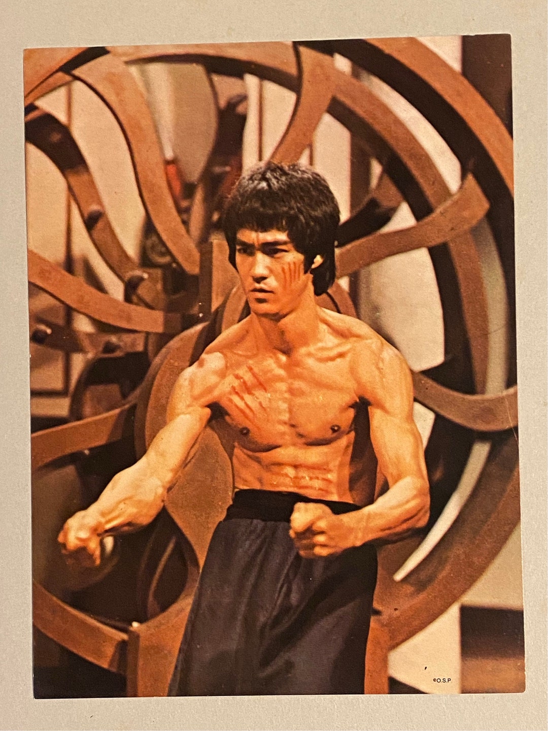 Bruce Lee Poster Vintage Movie Scene Flex Karate Martial Arts Photo ...