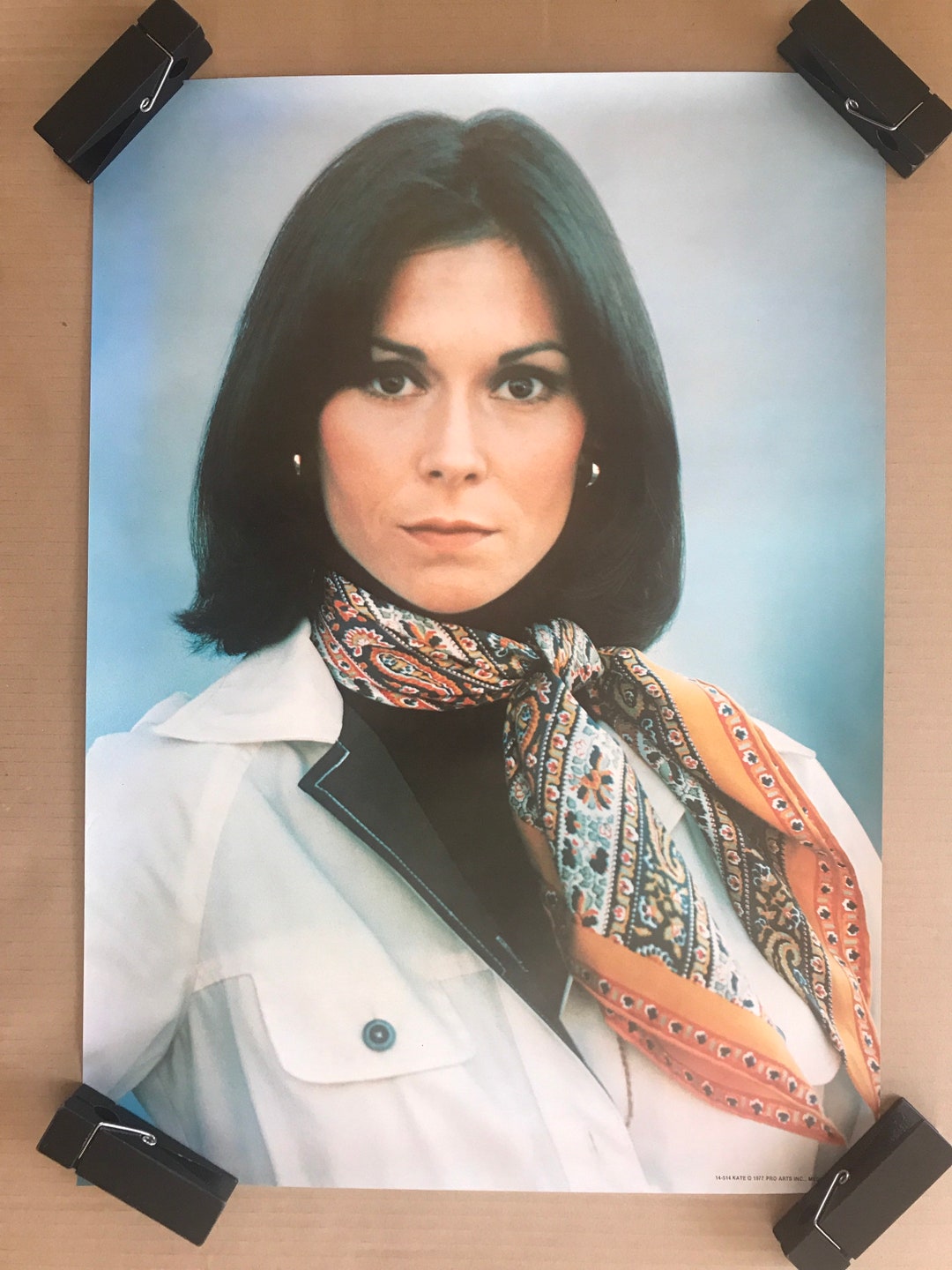 Vintage Original 1977 Kate Jackson Pinup 1970s Charlie’s Angels ...