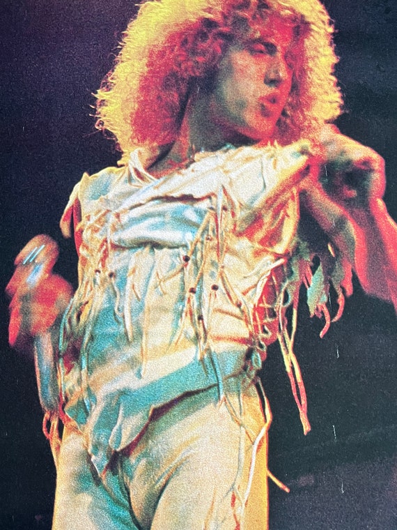 Roger Daltrey Wig