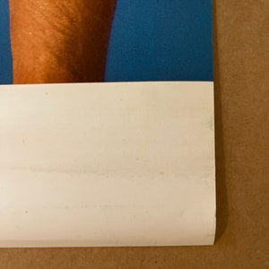 Terry Lester Scub a Love Poster Vintage Man Pinup - Etsy