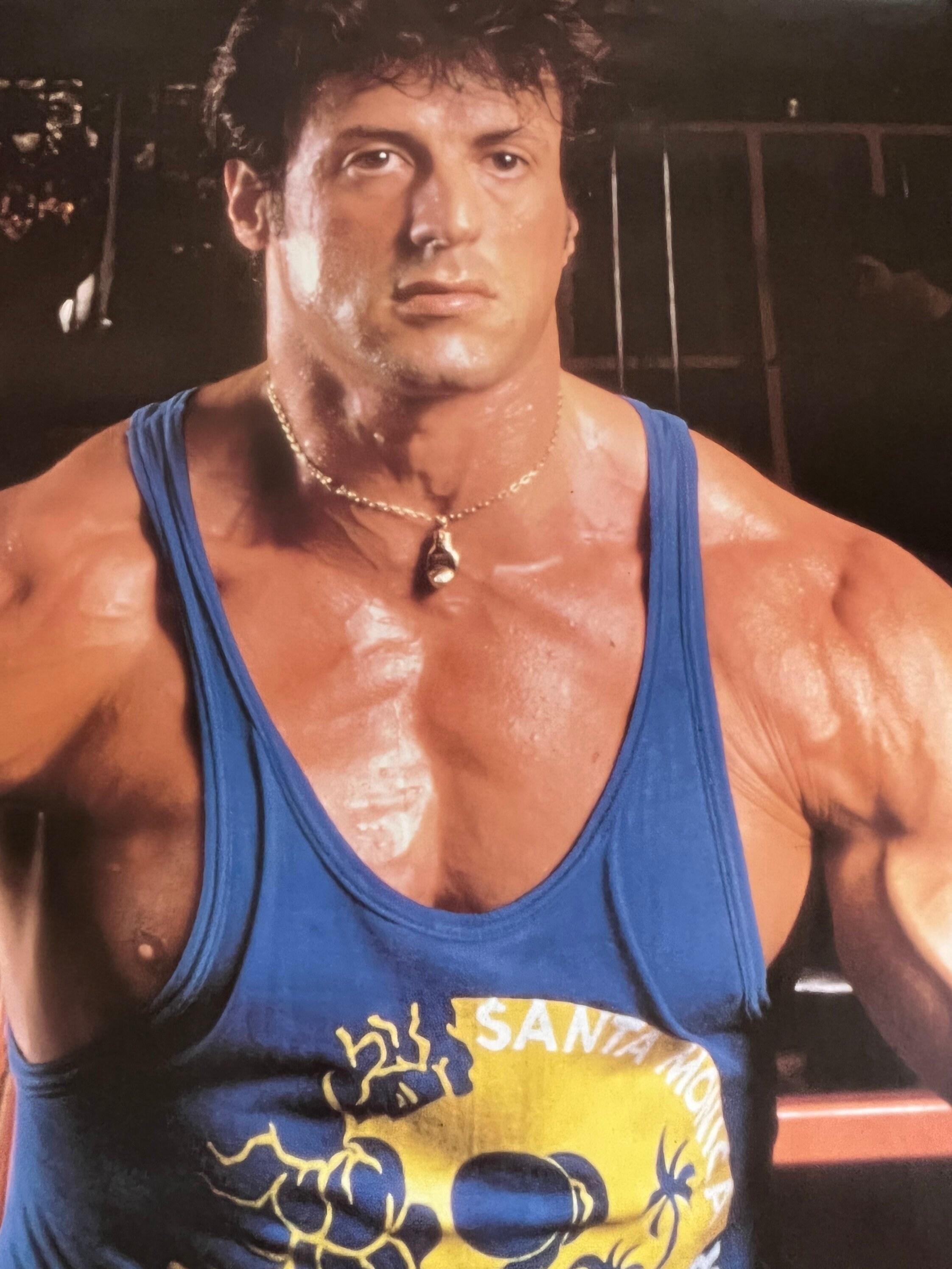 Vintage Original Poster Sylvester Stallone Gym Workout 1980s - Etsy