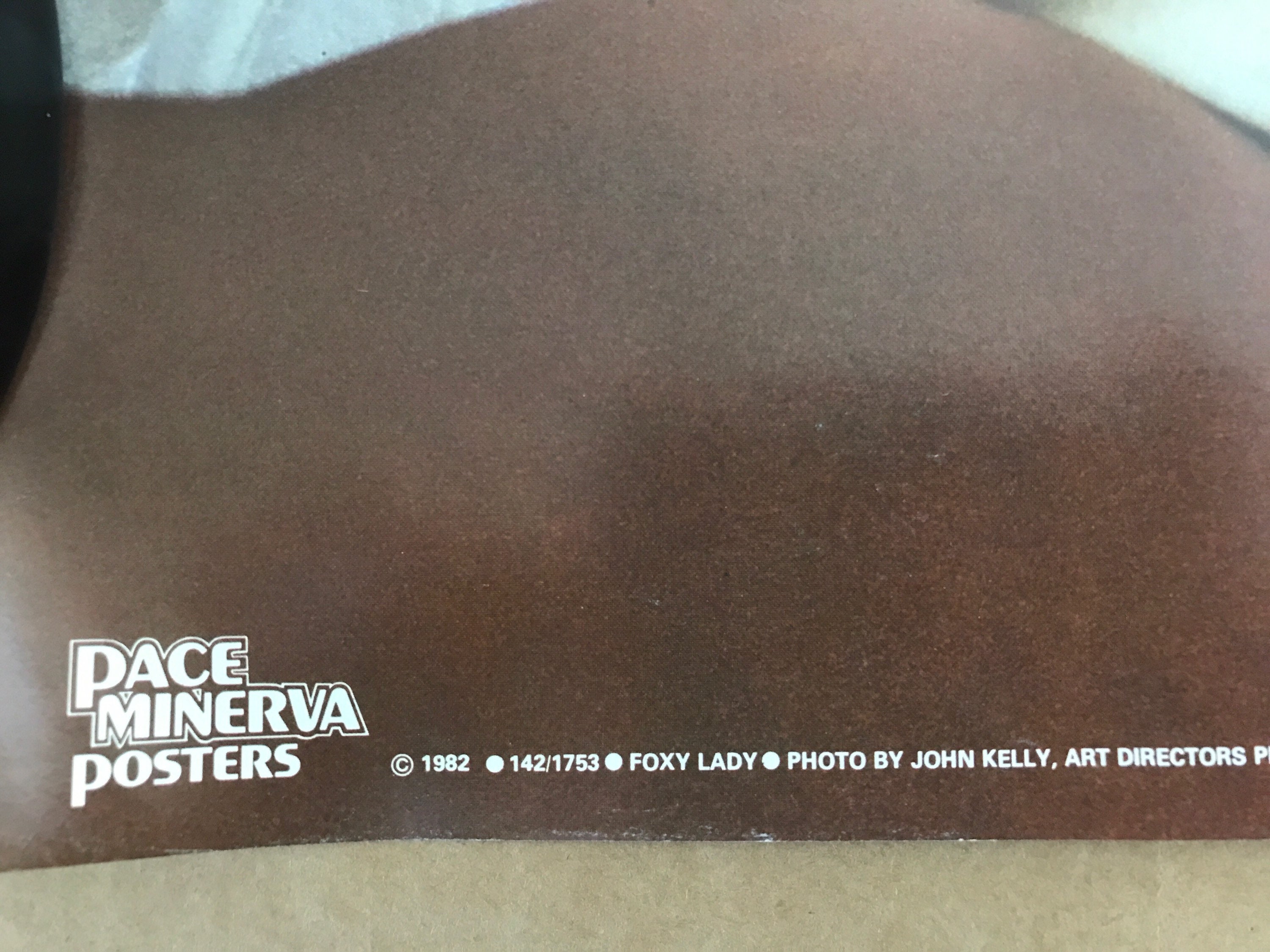 Vintage Original 1980s Foxy Lady Poster Nude Sexy Woman Pace - Etsy Canada