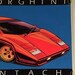 Lamborghini Countach Vintage Black Light Poster Velvet Flocked Car Pin ...