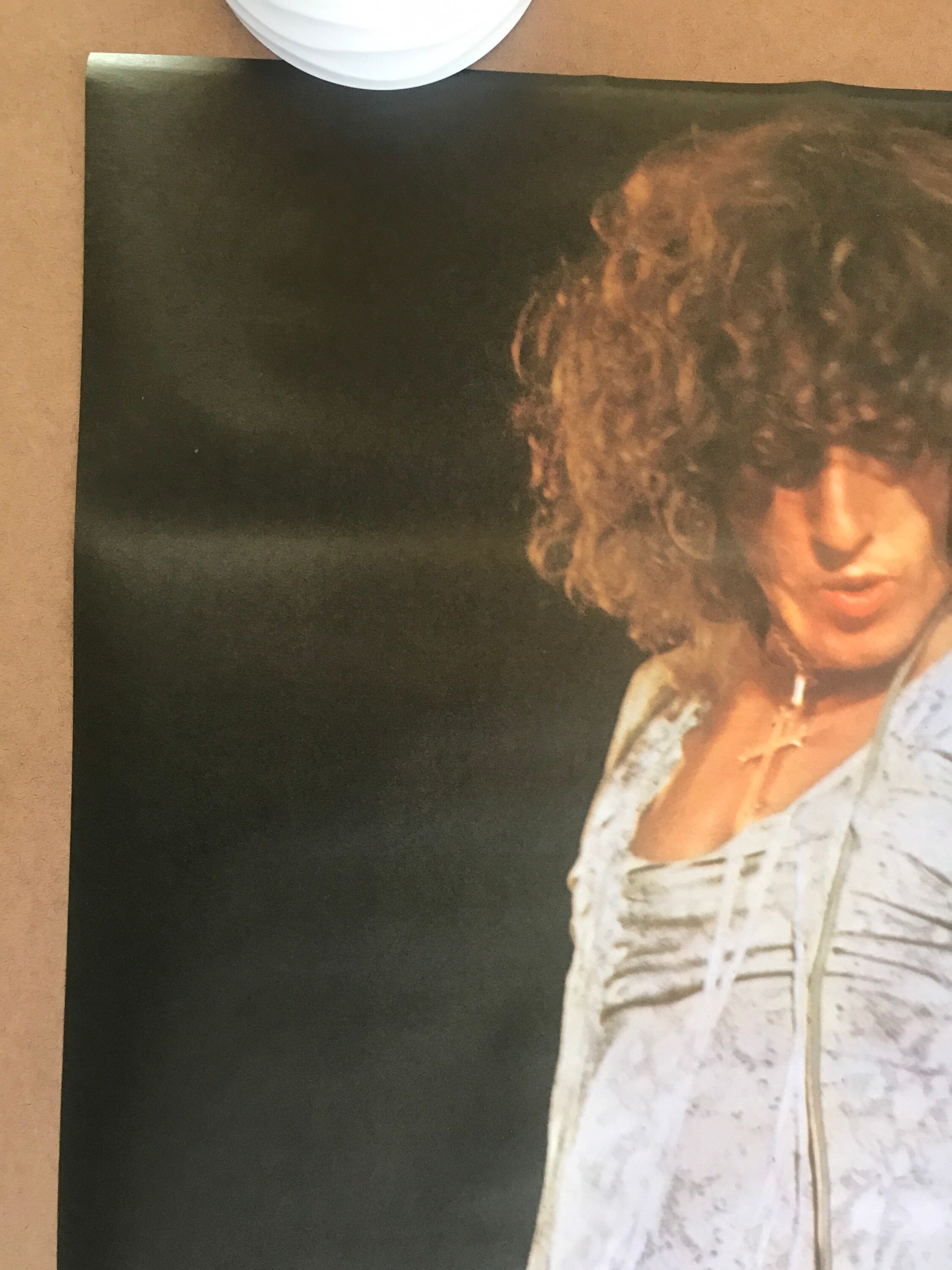 Roger Daltrey Wig