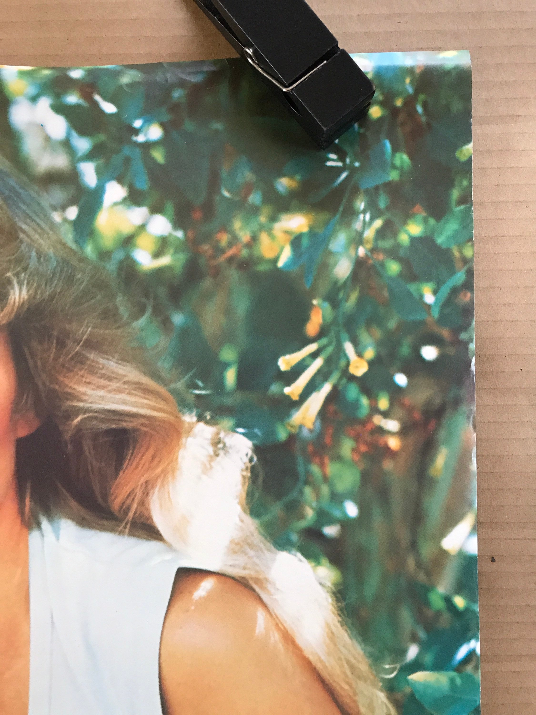 Vintage Original 1977 Farrah Fawcett Flowers Pinup 1970s Actress ...