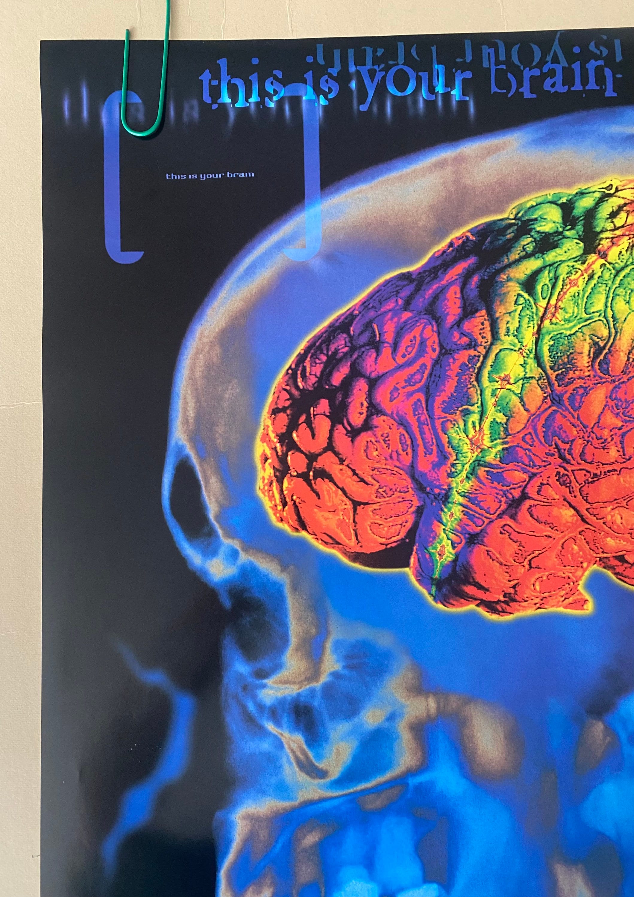 Vintage Pothead Poster Marijuana Smoke Shop Headshop Weed - Etsy UK