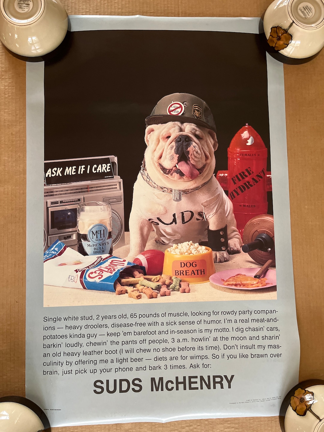 Suds Mchenry Vintage Poster Bulldog Spuds Mackenzie Satire Bulldogs ...