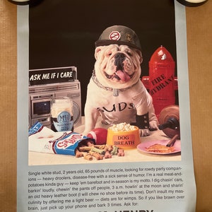 Suds Mchenry Vintage Poster Bulldog Spuds Mackenzie Satire Bulldogs ...