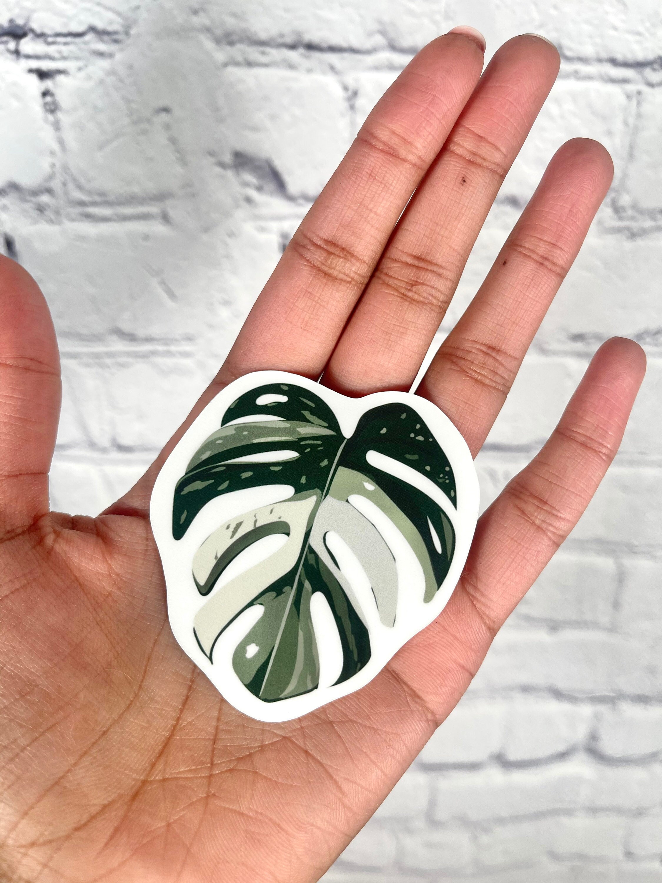 Monstera Plant Vinyl Sticker Monstera Deliciosa Plant | Etsy