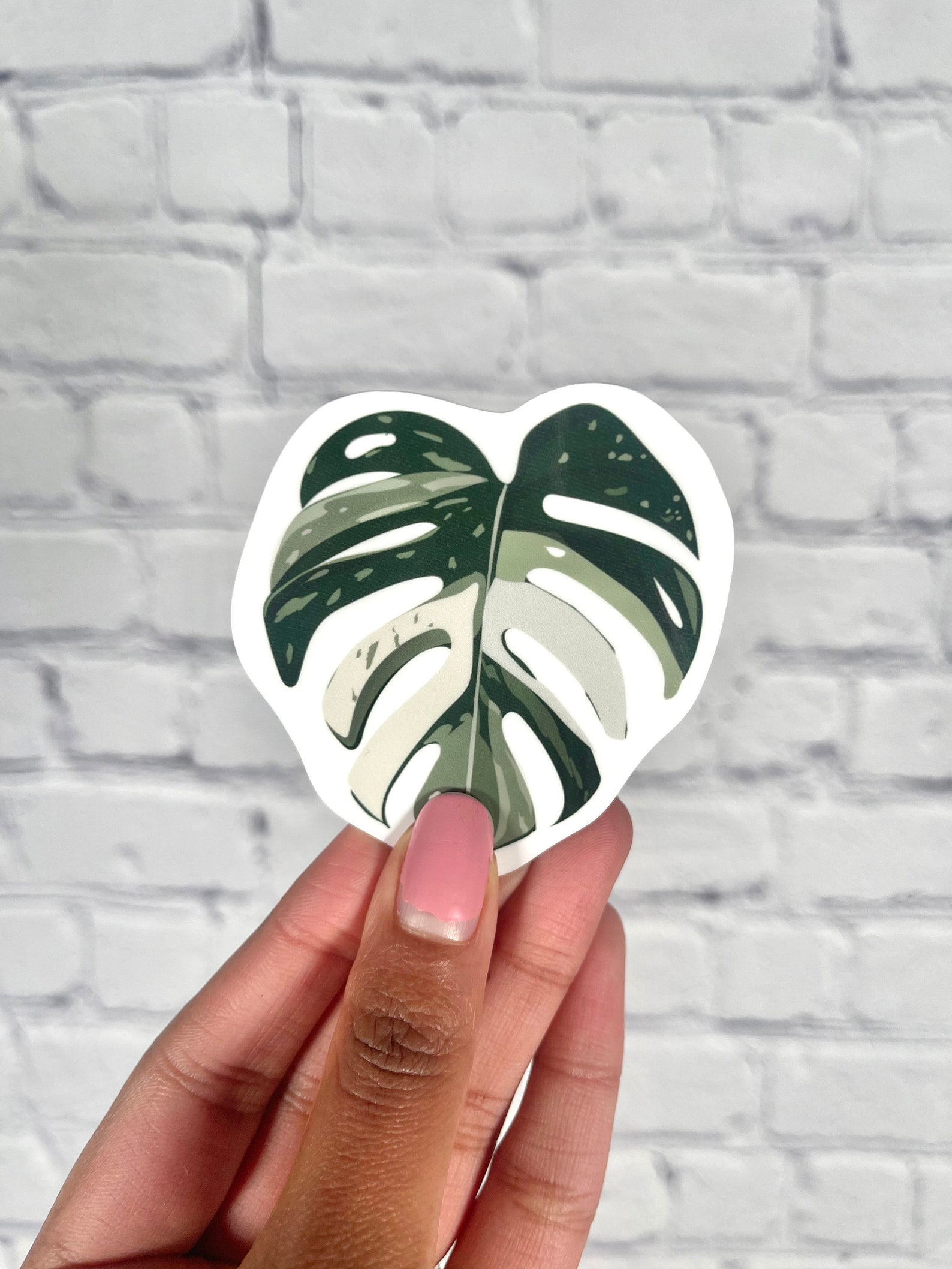 Monstera Plant Vinyl Sticker Monstera Deliciosa Plant - Etsy