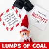 Lump of Coal Single Day Elf Kit, Lump of Coal Gag Gift, North Pole Coal ...